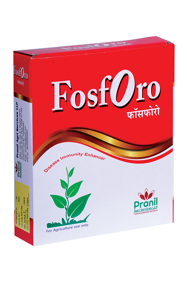 Pranil Agri Services LLP – Pranil Agri Services LLP